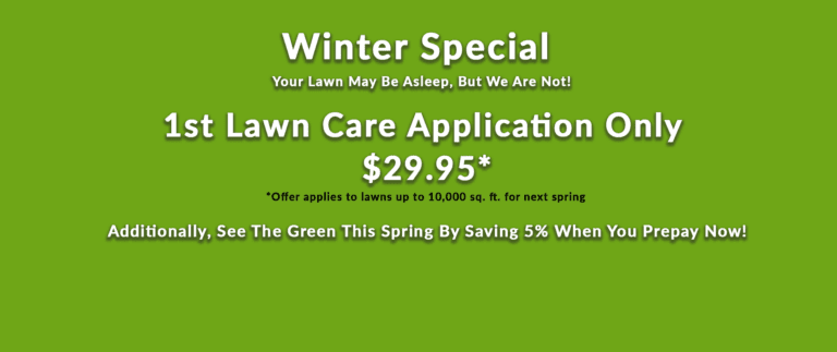 Top Lawn: Professional Lawn Care & Weed Control Services